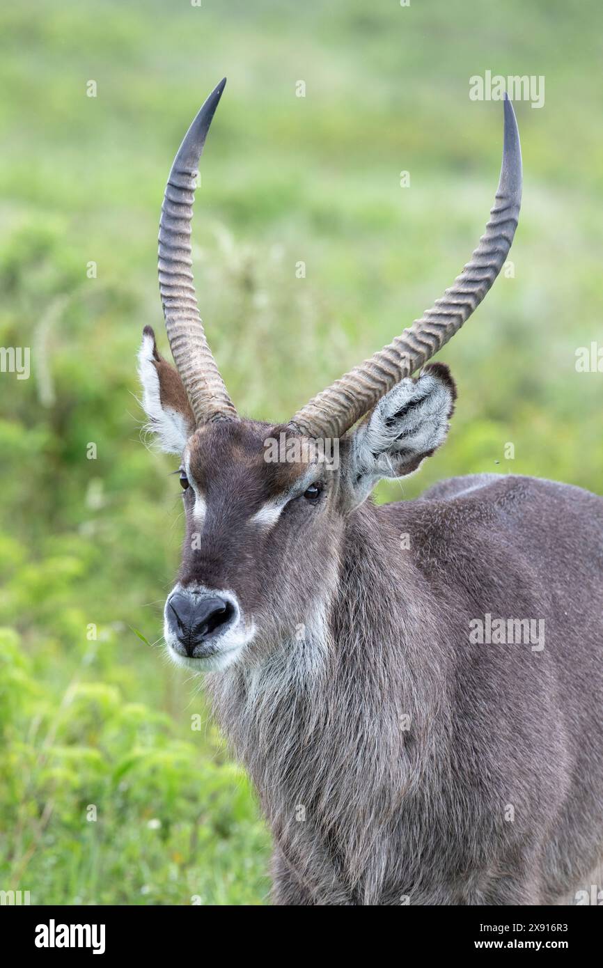 Tourism in arusha hi-res stock photography and images - Alamy