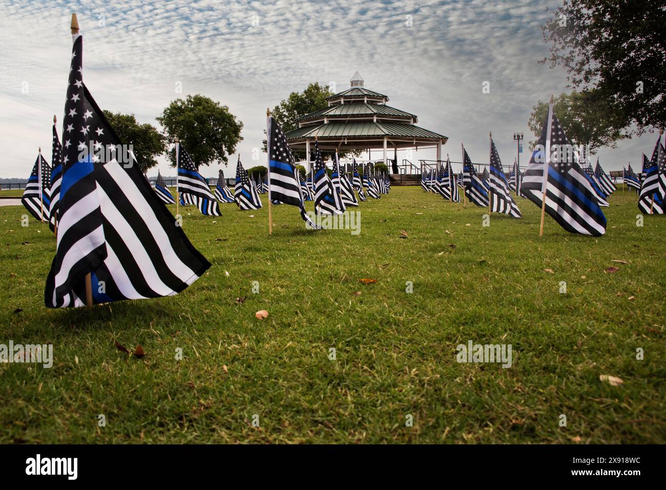 A field of flags placed in Union Point Park in New Bern ,North Carolina ...