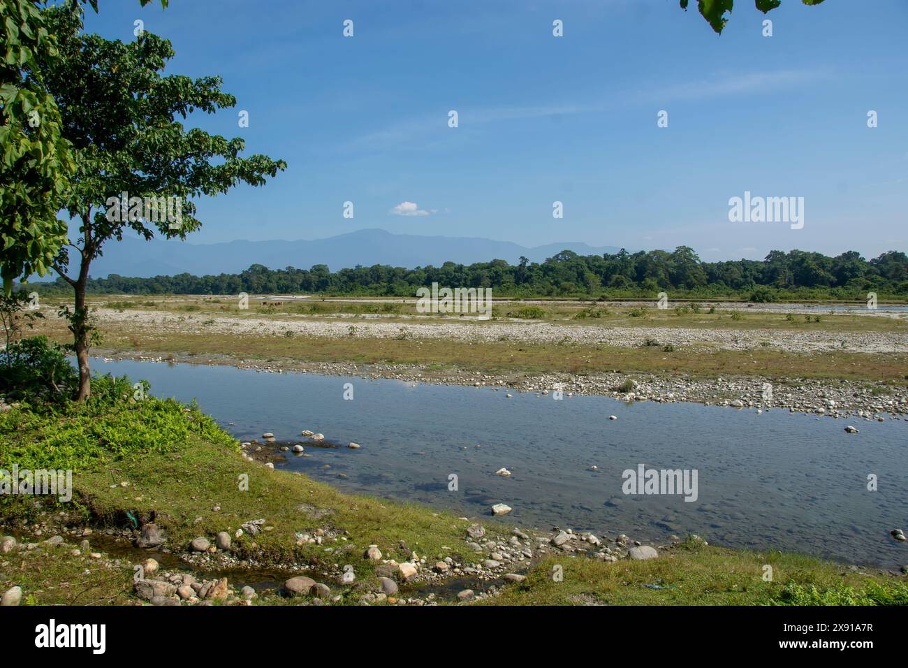 Murti is the name of a river flowing down from the Neora Valley ...