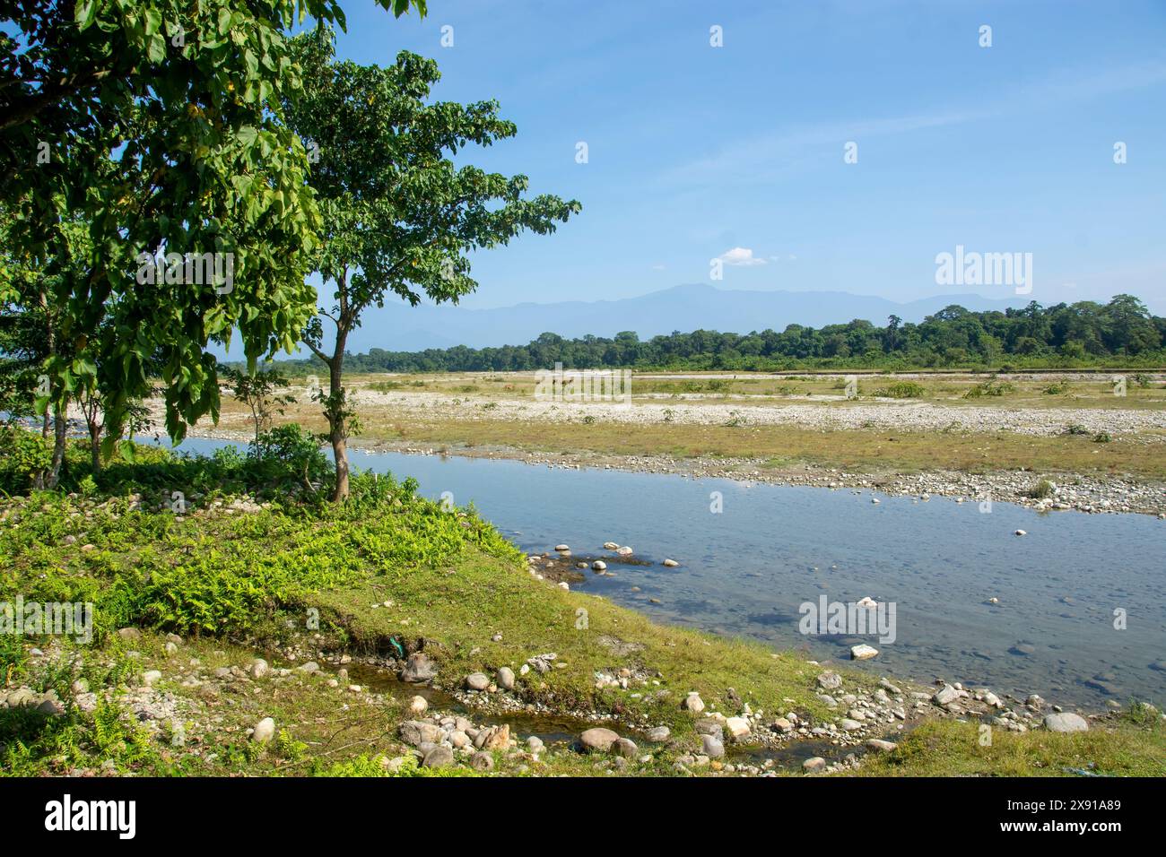 Murti is the name of a river flowing down from the Neora Valley ...