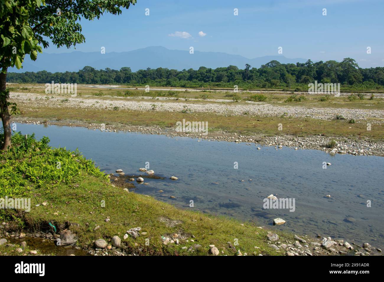 Murti is the name of a river flowing down from the Neora Valley ...