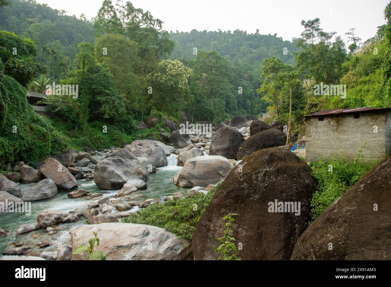 The Jaldhaka River, also known as Dichu, is a tributary of the ...