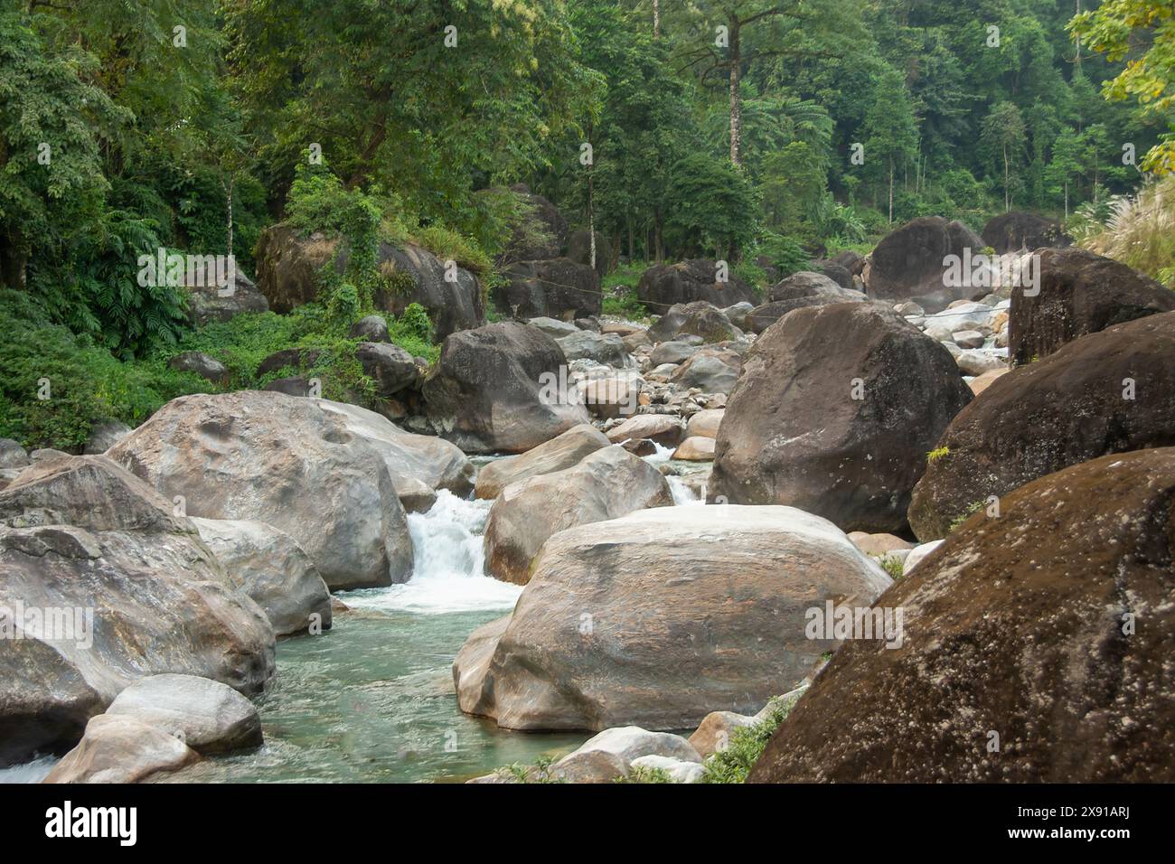 The Jaldhaka River, also known as Dichu, is a tributary of the ...