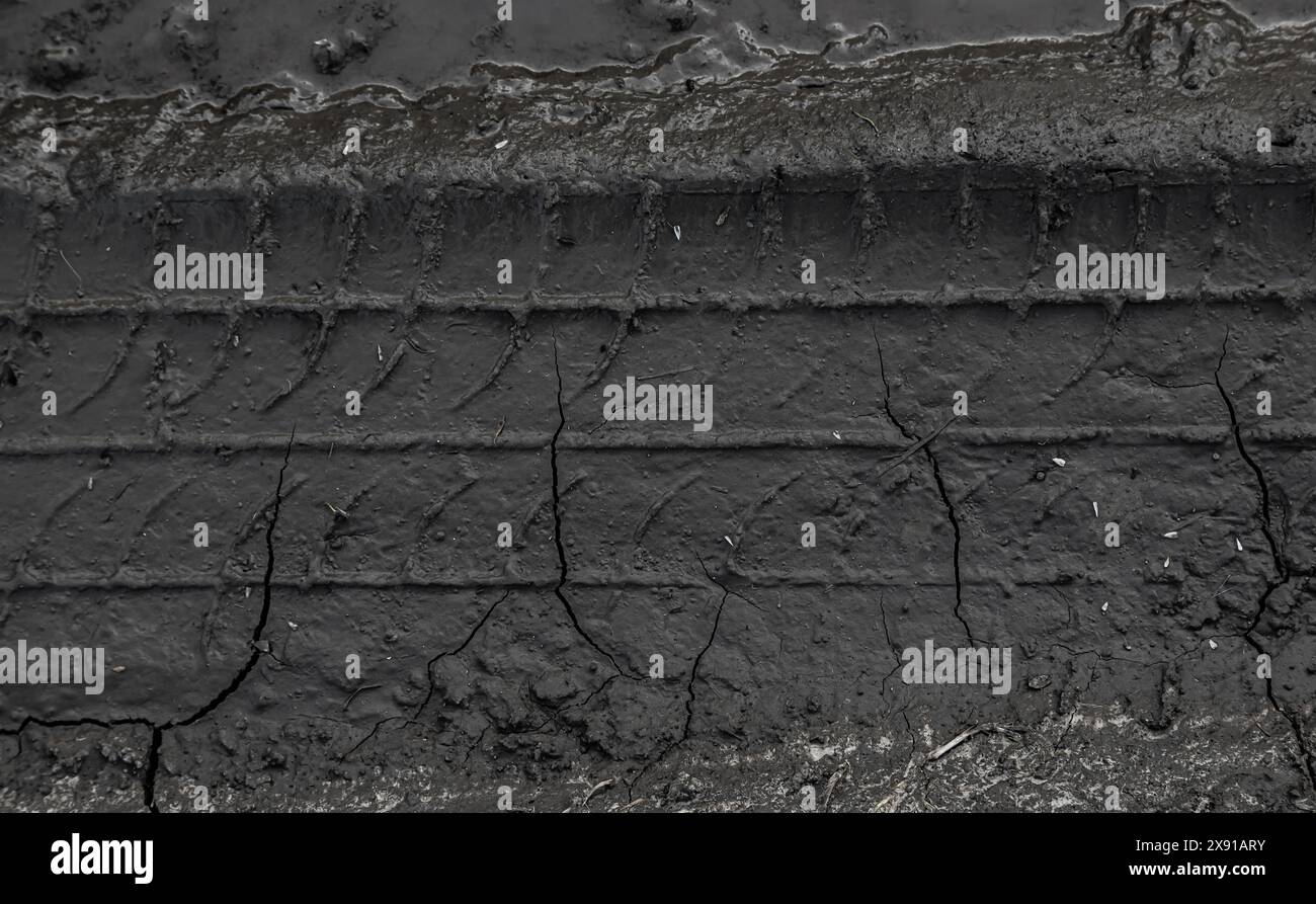 Traces of car tire tread in the ground. Pattern. Dark abstract ...