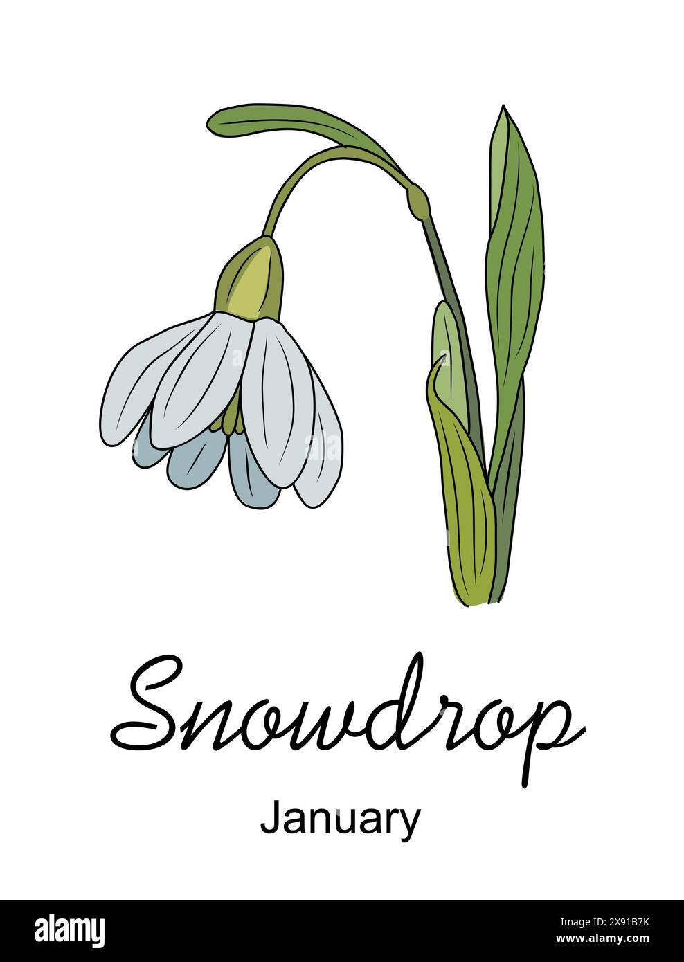 Snowdrop logo hi-res stock photography and images - Alamy