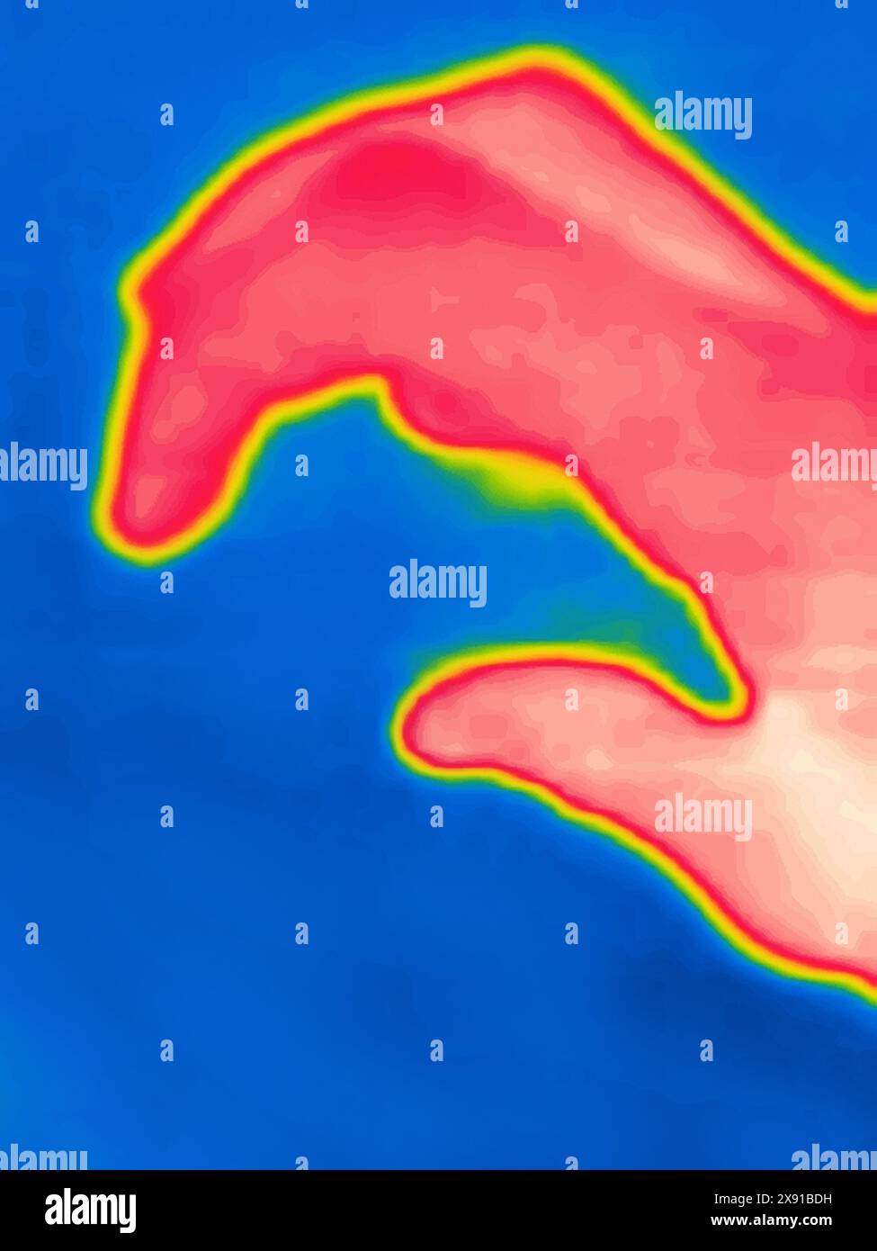 Hand gestures captured on thermal imager device. Warm hands of an ...
