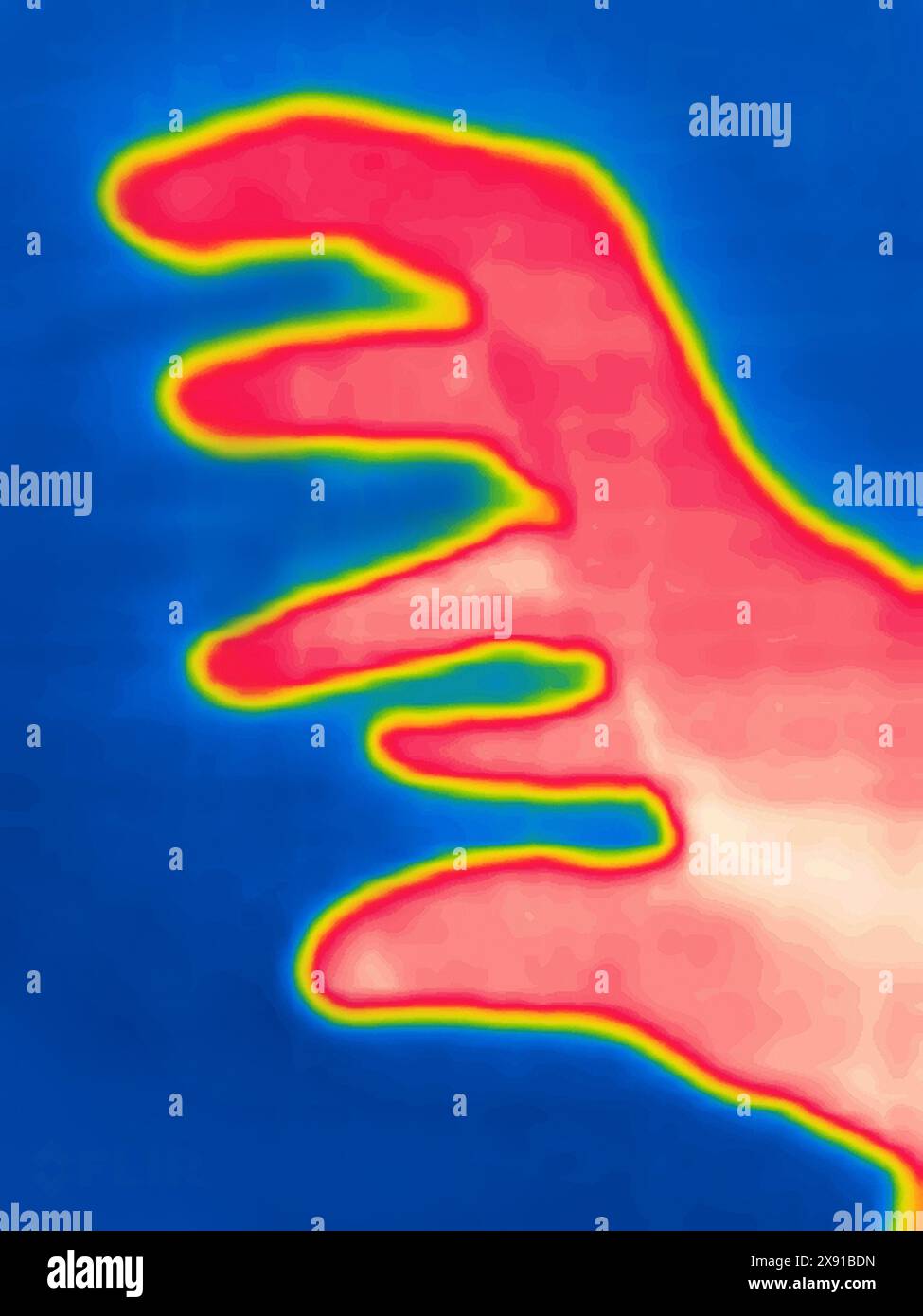 Hand gestures captured on thermal imager device. Warm hands of an ...