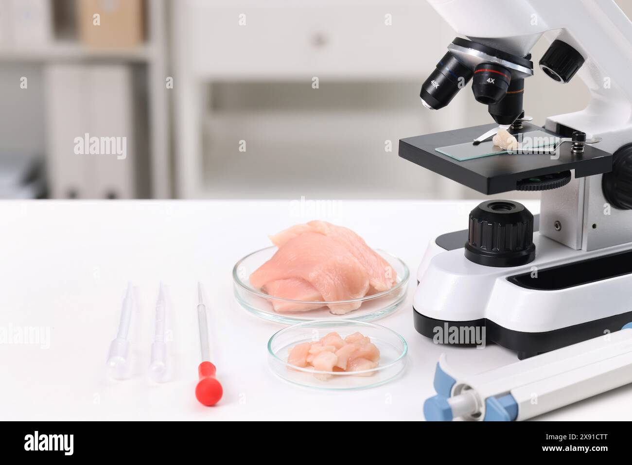 Food quality control. Microscope, petri dishes with meat and other ...