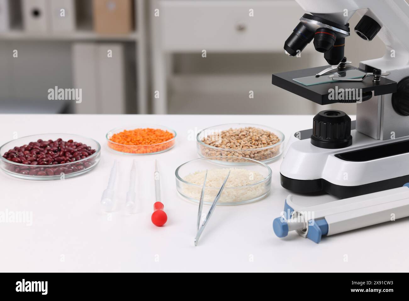 Food Quality Control. Microscope, petri dishes with different products ...