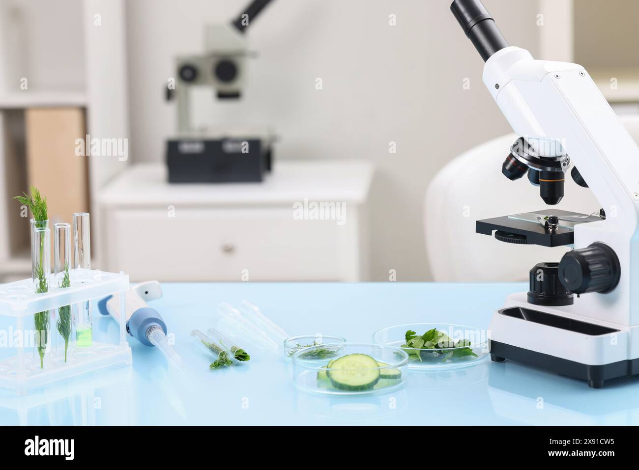 Food quality control. Microscope, petri dishes with different products ...