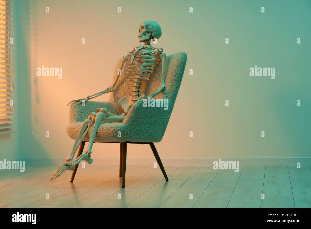 Waiting concept. Human skeleton sitting in armchair indoors Stock Photo ...