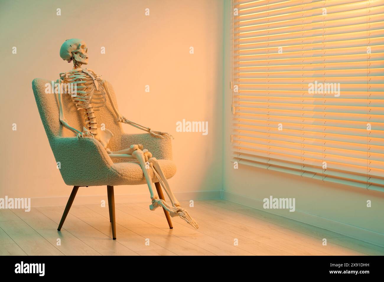 Waiting concept. Human skeleton sitting in armchair indoors, space for ...