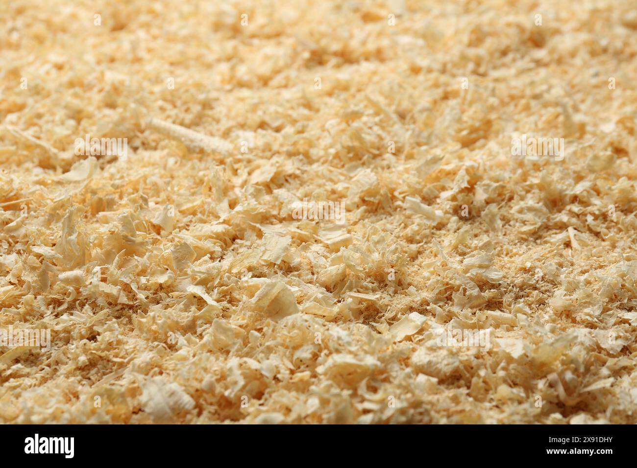 Dry natural sawdust as background, closeup view Stock Photo - Alamy