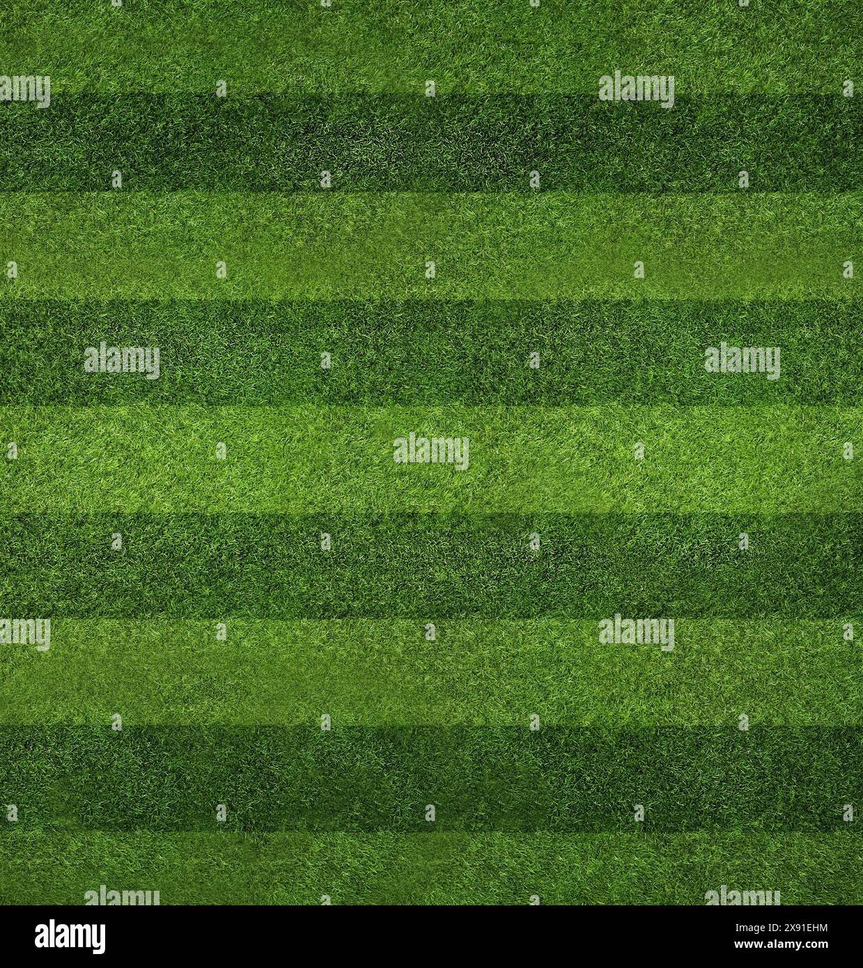 Green field with horizontal stripes creating a patterned texture Stock ...