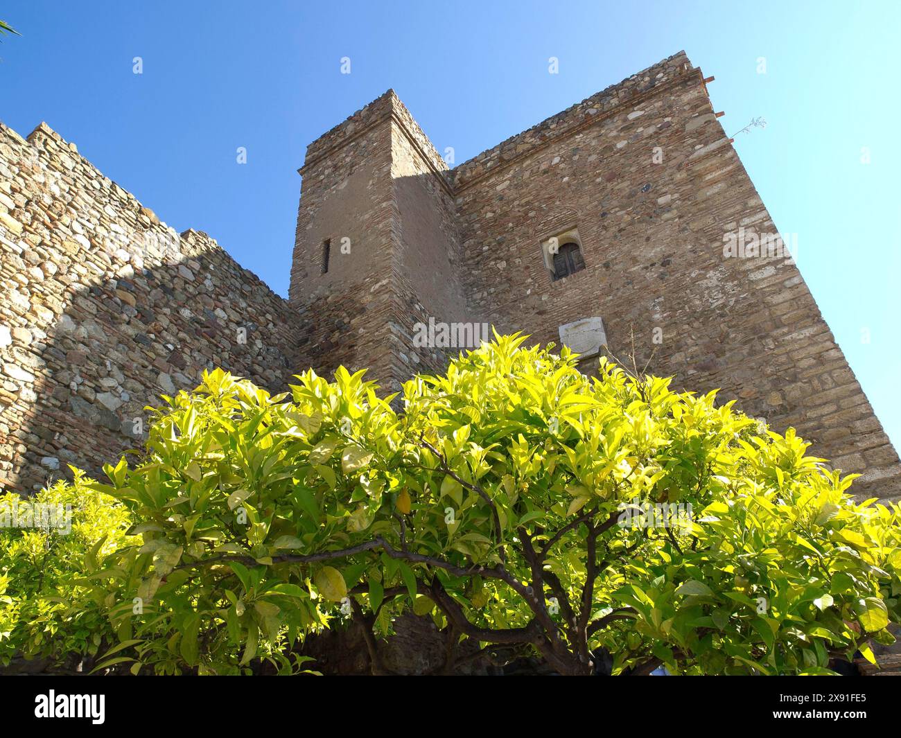 Historic castle wall with a high tower surrounded by green leaves ...