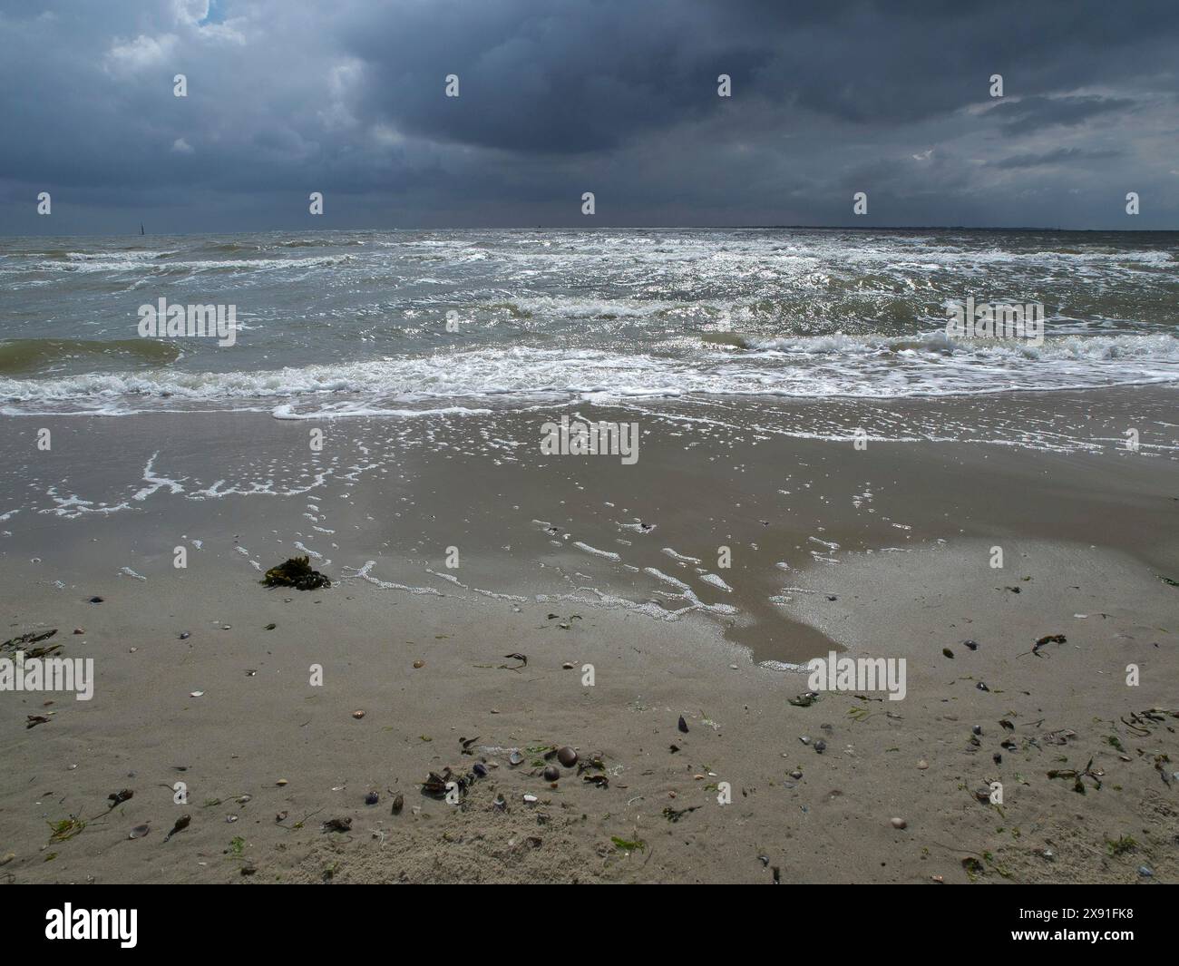 Restless waves on a sandy beach under a cloudy sky. The sea looks ...