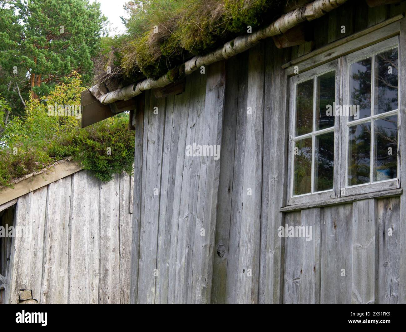 Side view of a rustic wooden hut with windows and grass roof ...