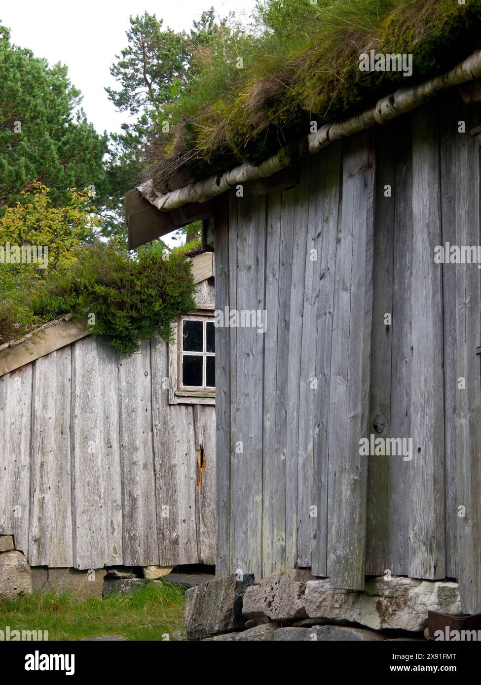 Close-up side view of a wooden hut with grass roof and windows in the ...