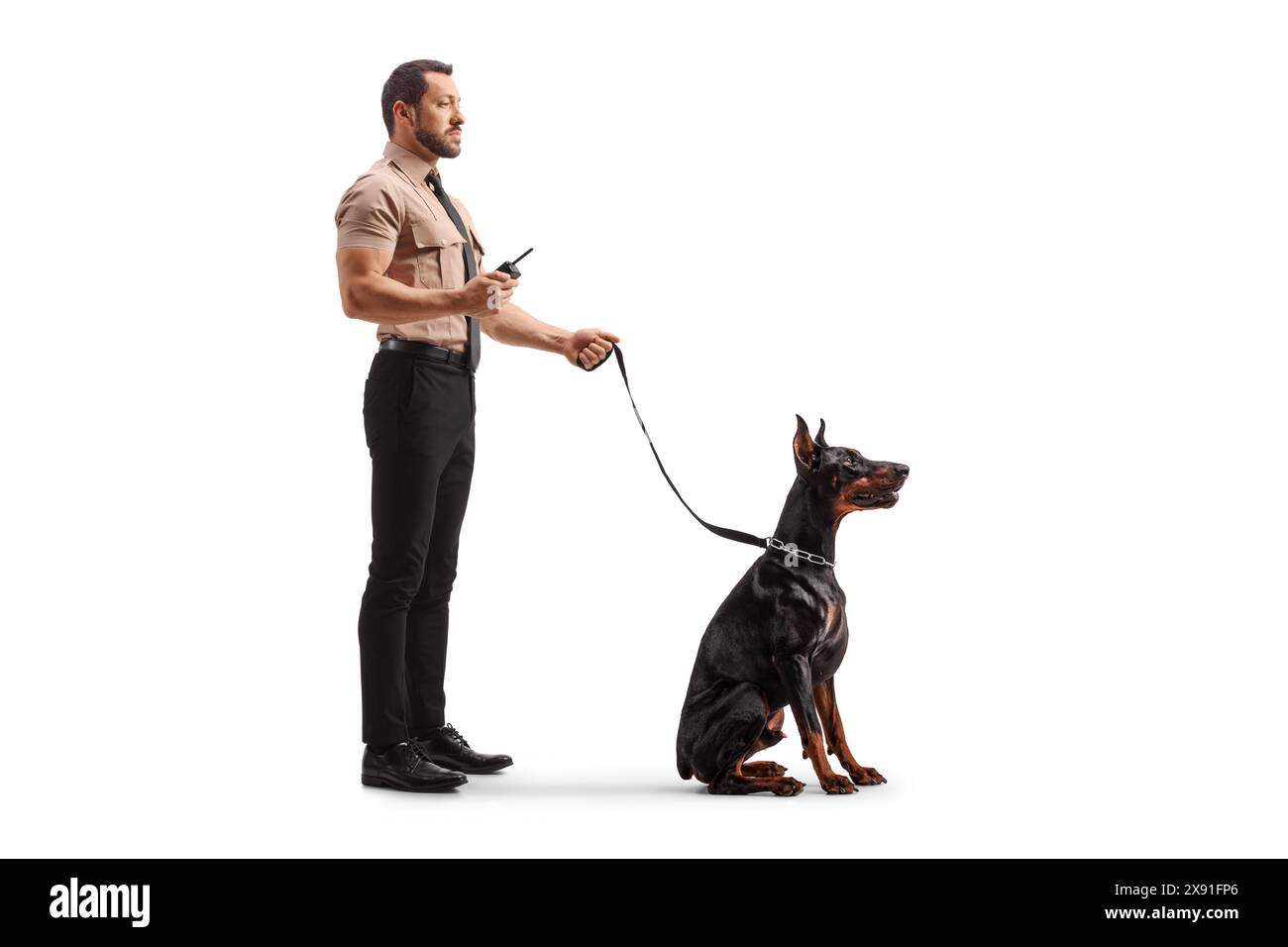 Security guard with a doberman dog holding a walkie talkie isolated on ...