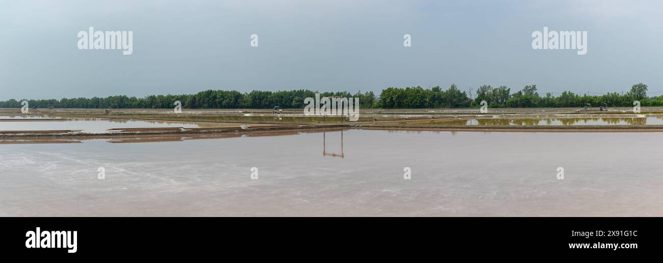 A panorama picture of the Ka Long sea salt field Stock Photo - Alamy