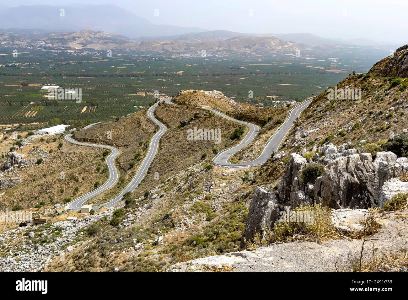 Olive tree cultivation agriculture in hi-res stock photography and ...