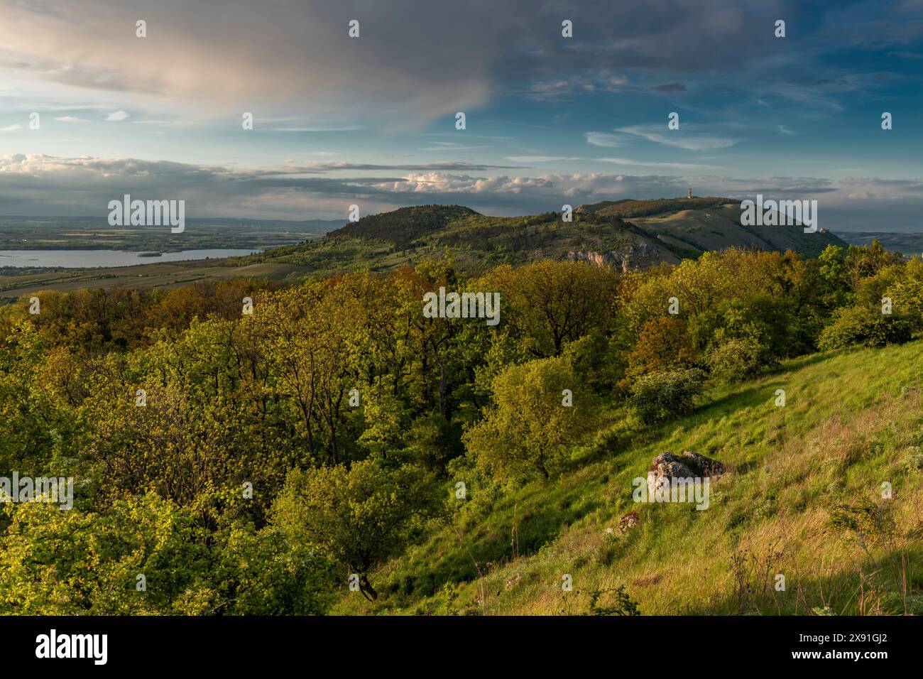 Color spring evening sunset near Klentnice beautiful village in south ...