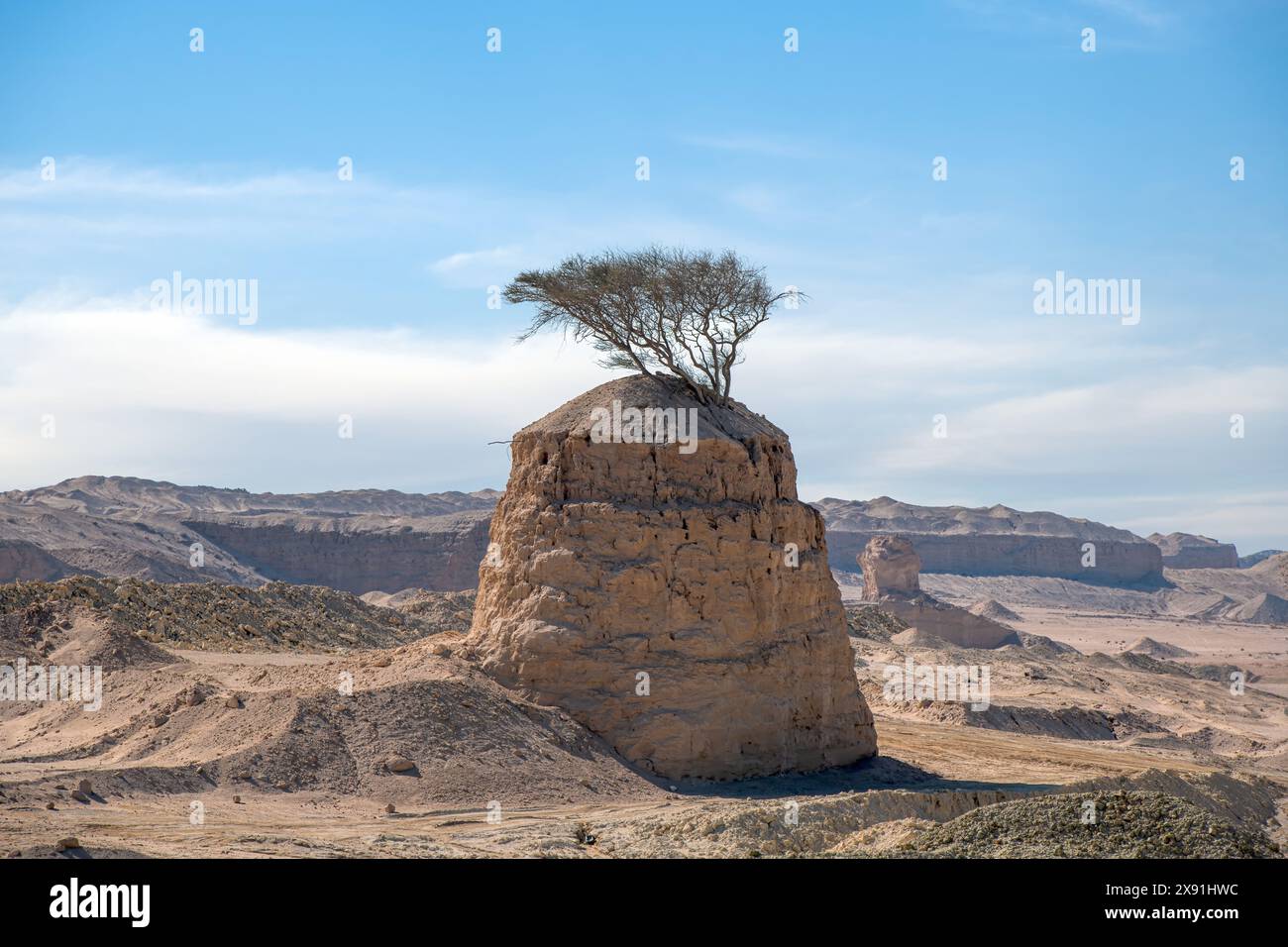 Umbab qatar hi-res stock photography and images - Alamy