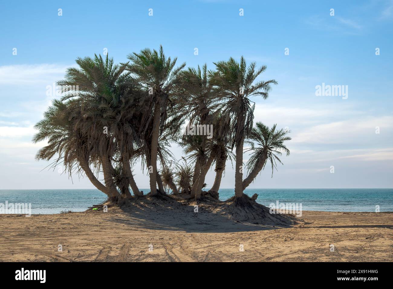 beautiful sunset view at Umbab beach Qatar Stock Photo - Alamy