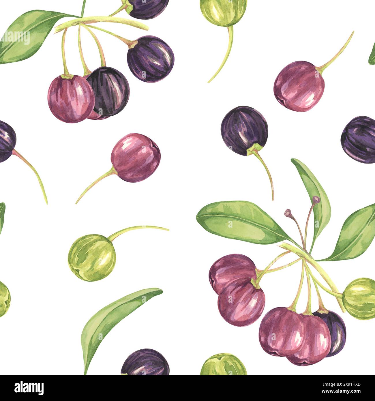 Maqui berry, purple pink fruit seamless pattern with leaves ...