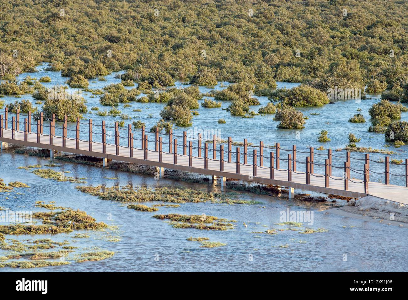 Purple Island full of Mangrove in Thakira. Known as Dakhira Stock Photo ...