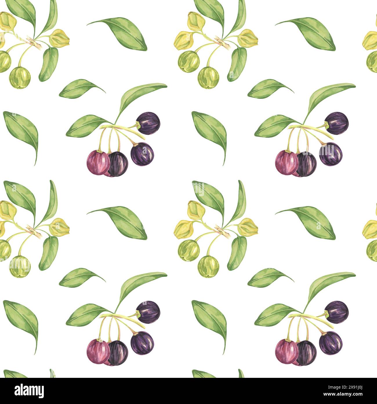 Maqui berry, purple pink fruit seamless pattern with leaves ...