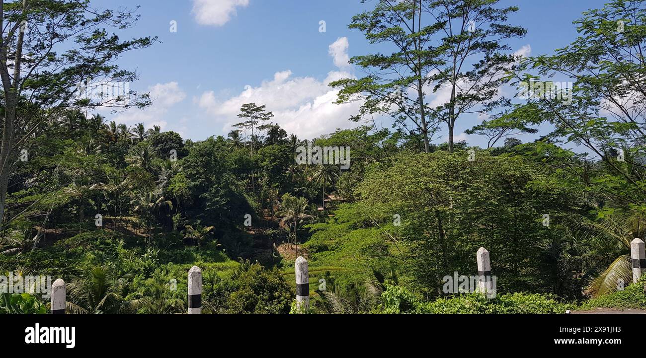 Alas Harum entrance sign in Ubud Bali. A 'Luwak' statue aka Asian Palm ...