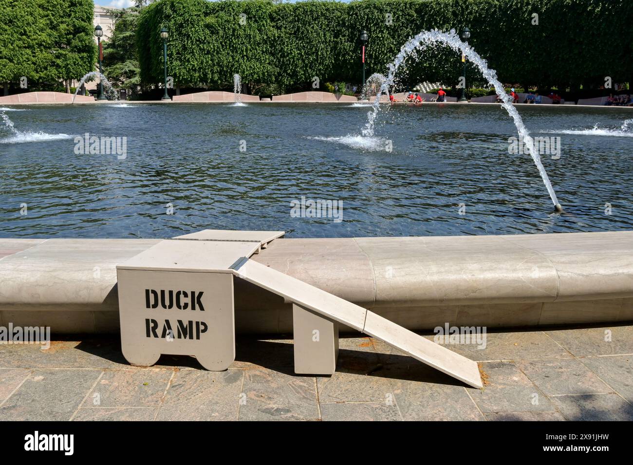 Washington DC, USA - 2 May 2024: Wooden ramp for ducks to enter and ...