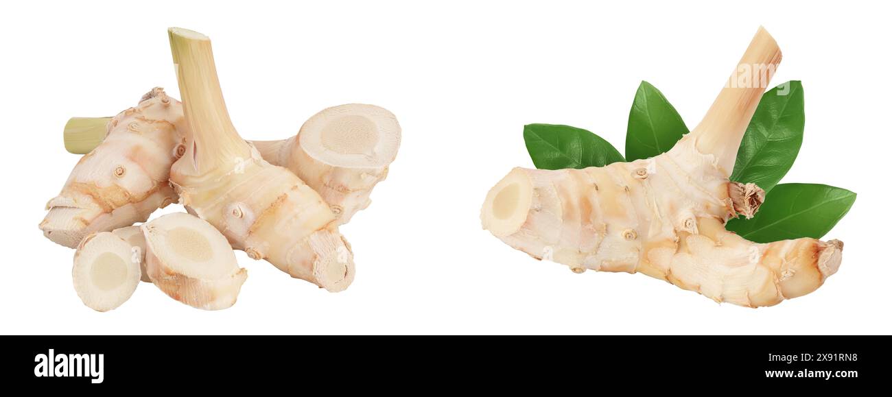 Fresh galangal root with slices isolated on white background with full ...