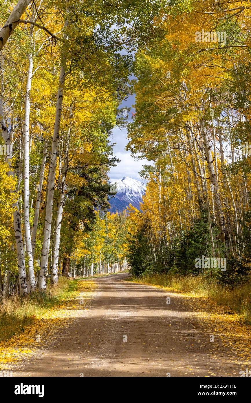 Mountain road in Telluride Colorado during fall Stock Photo - Alamy