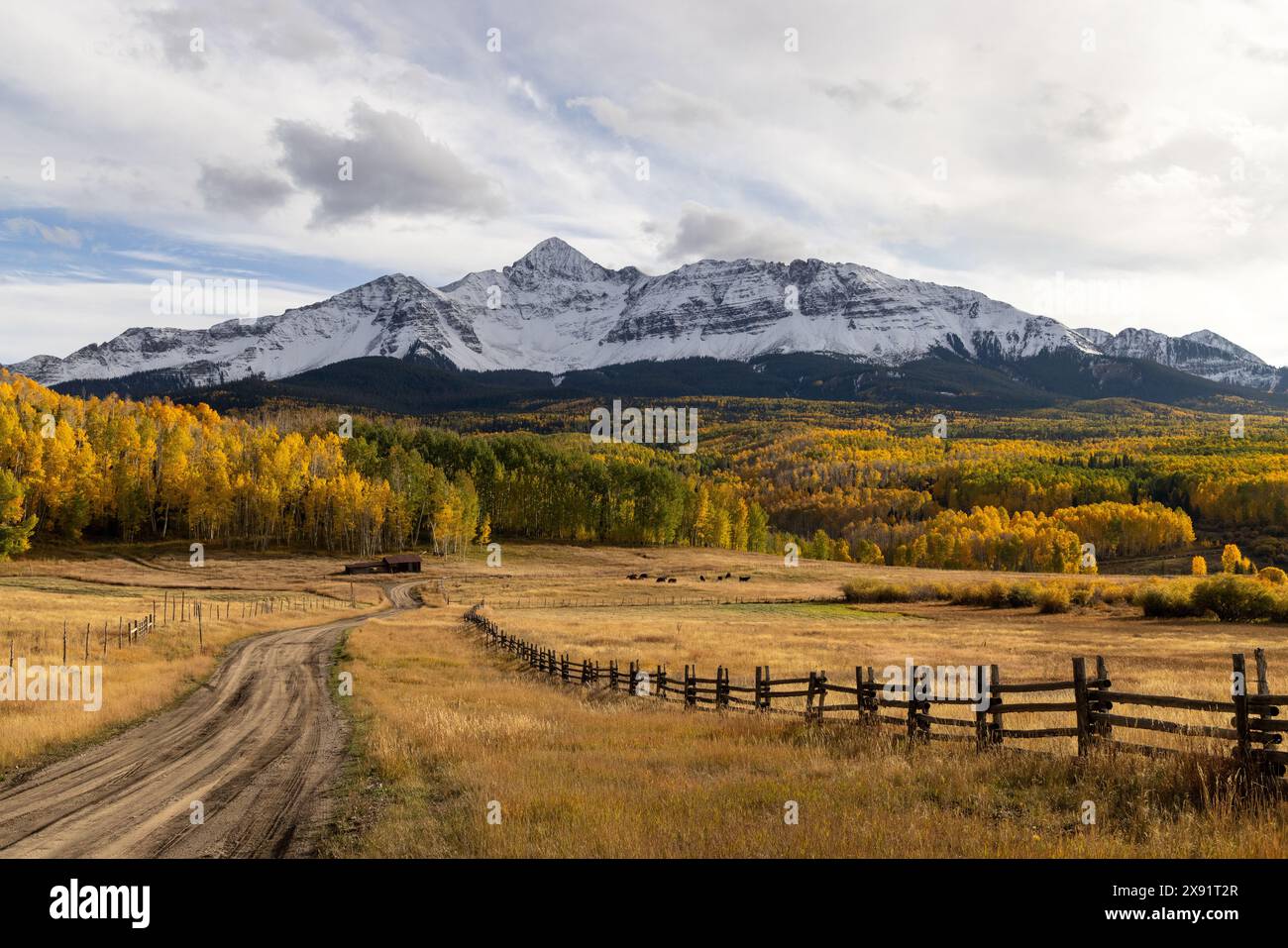 Mountain road in Telluride Colorado during fall Stock Photo - Alamy