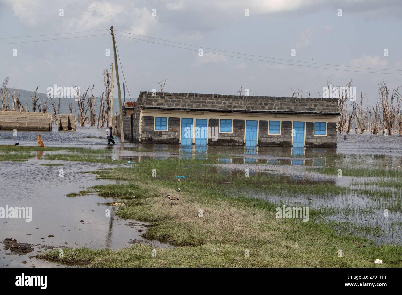 A young boy wades towards submerged buildings on land submerged by the ...