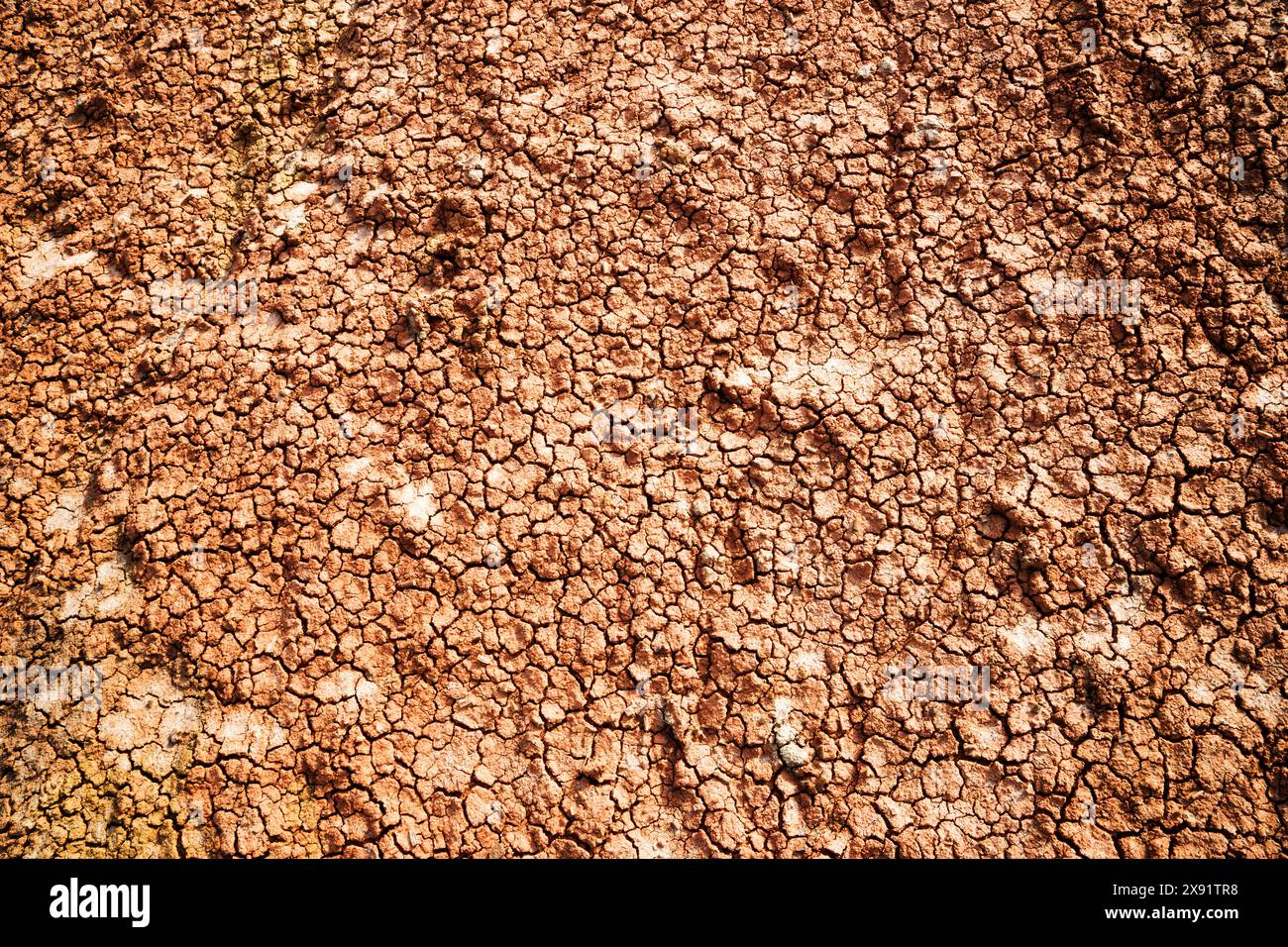 brown, rock ,Dry cracking drought earth lacking rain climate change ...