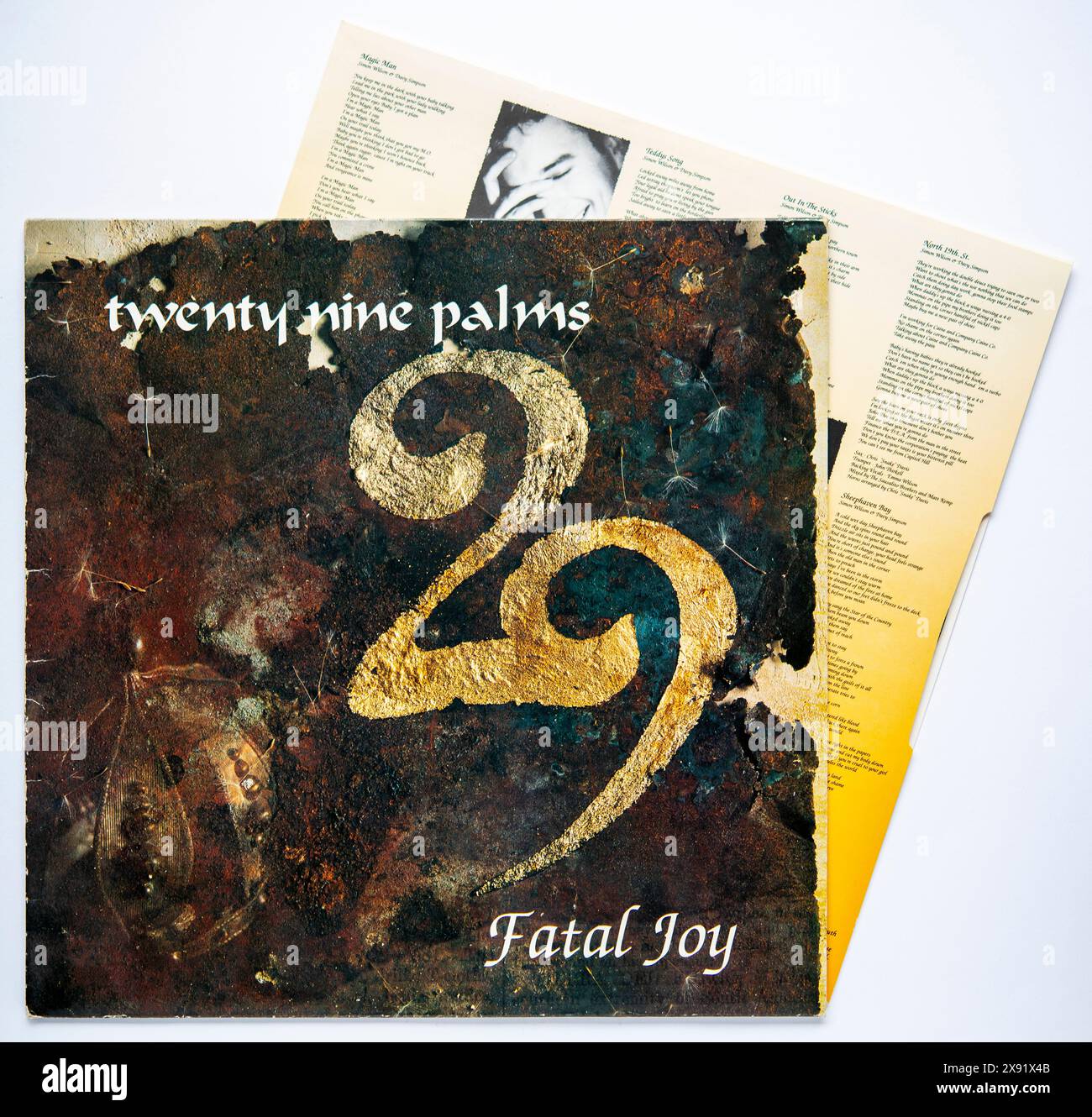 LP cover and inner sleeve of Fatal Joy, the debut album by 29 Palms ...