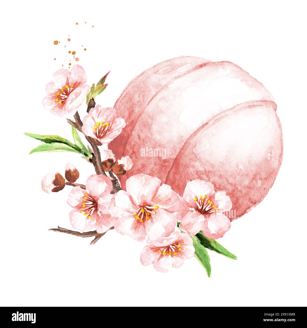 Bath bomb, aroma SPA concept. Hand drawn watercolor illustration ...