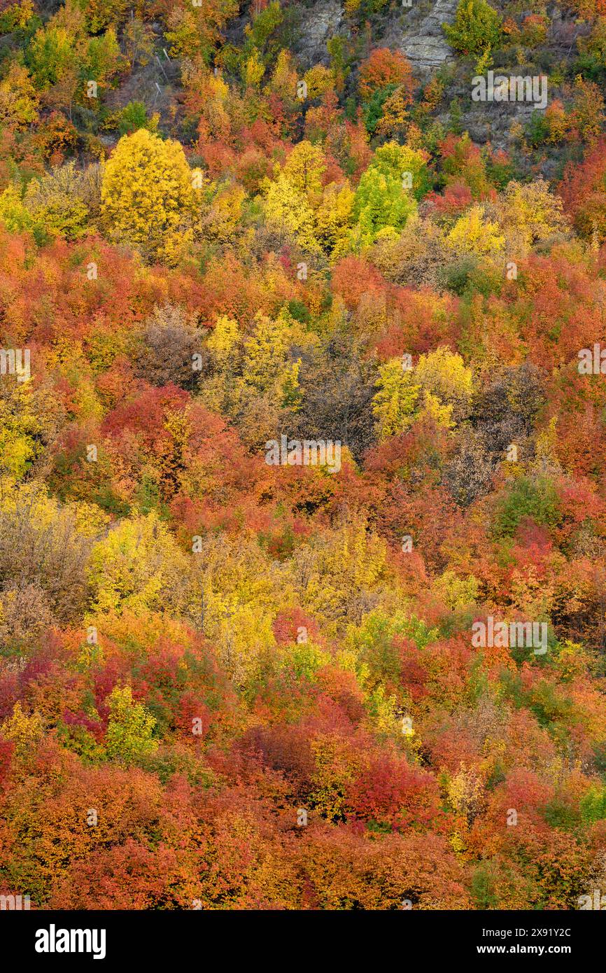 Fall color on the hillside of Arrow Town in the Otago region of New ...