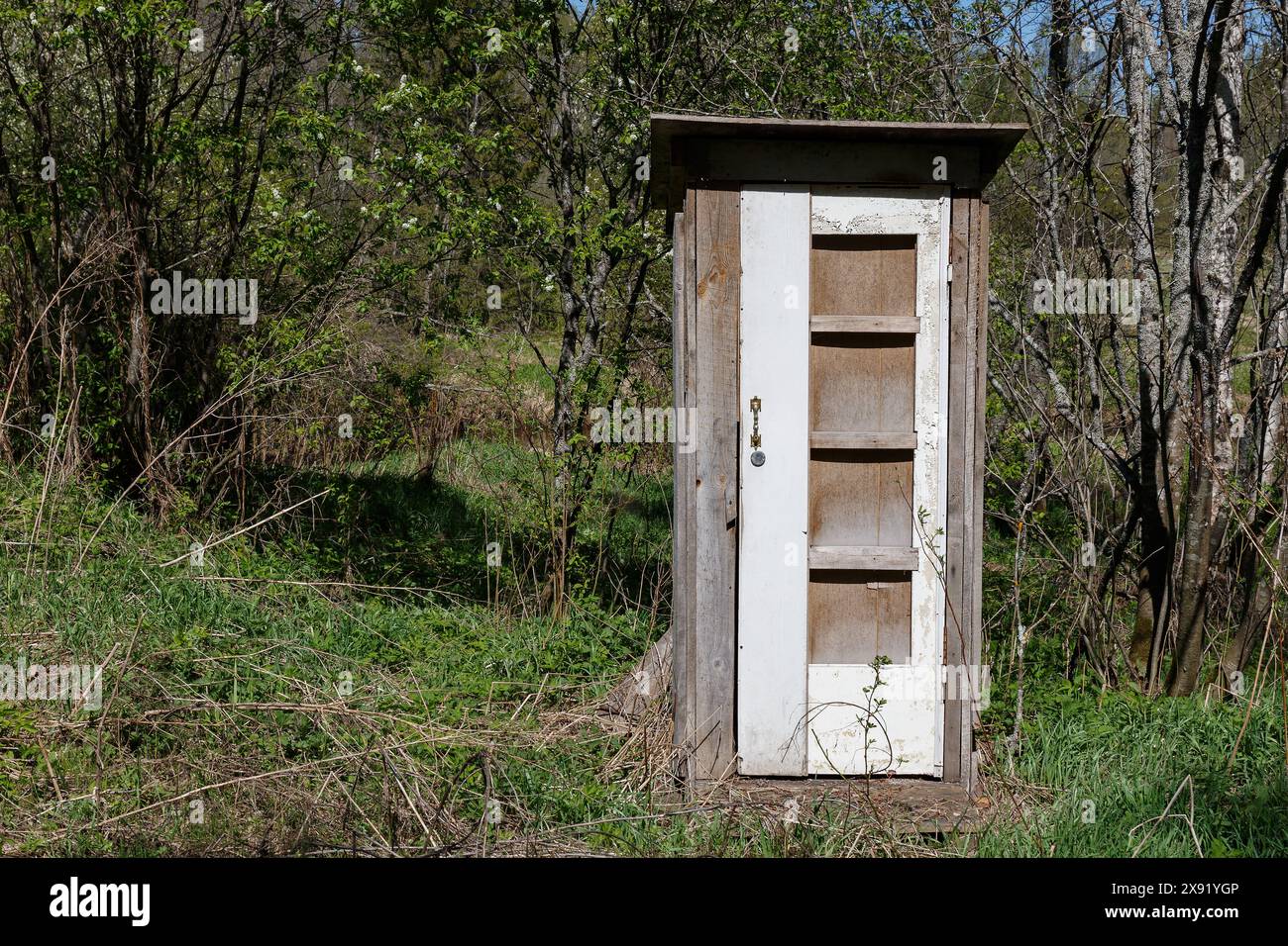 Wooden toilet in the forest. Toilet with a white closed door near trees ...