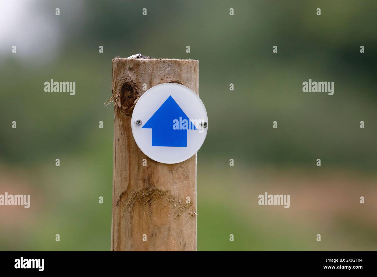 A signpost consisting of a blue direction arrow on a round white base ...