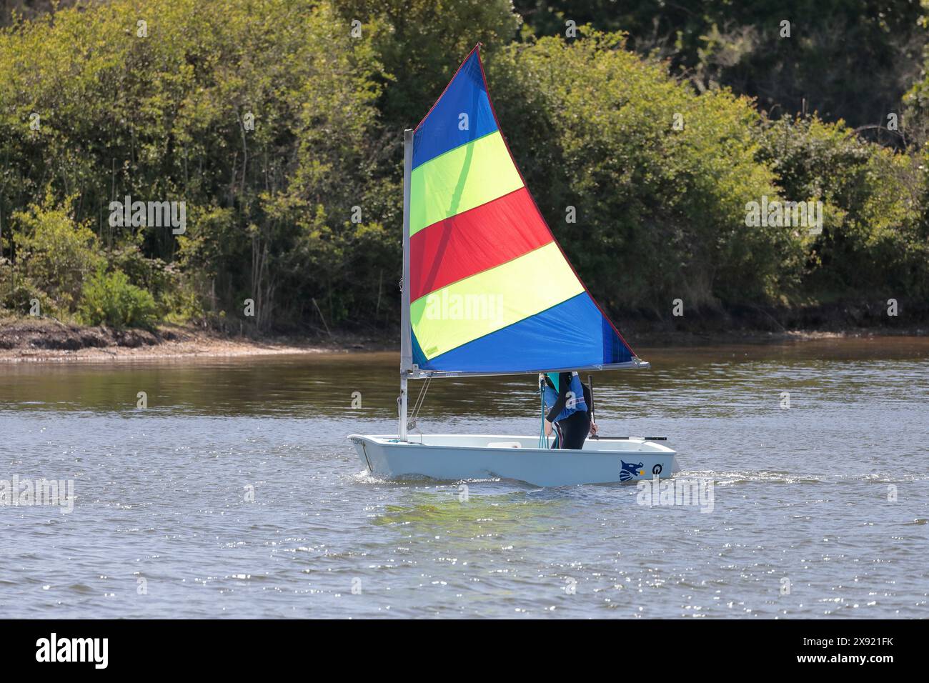 An Optimist class boat sailing from right to left on a lake, the sailor ...