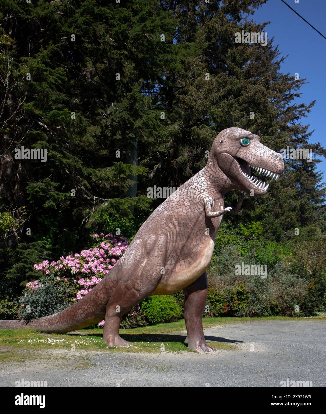 Prehistoric Gardens is a roadside attraction located on Oregon's ...