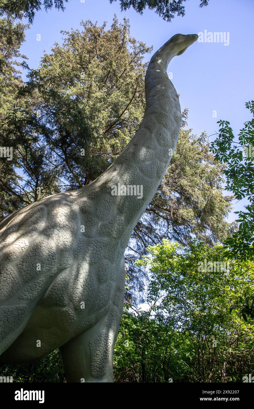 Port orford prehistoric gardens hi-res stock photography and images - Alamy