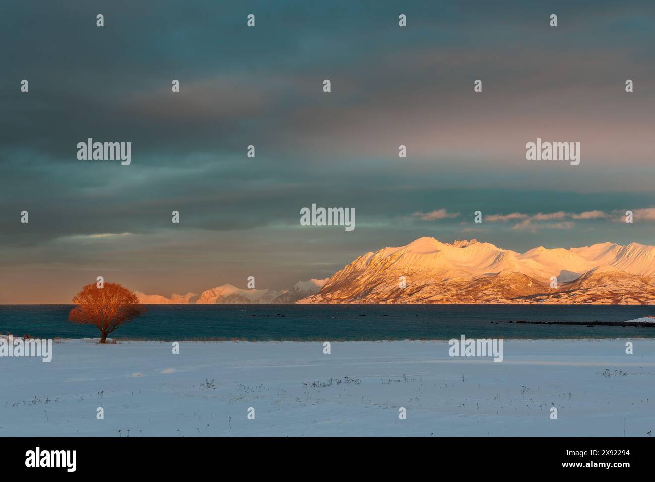 The magical light of the ending polar day on the snowy hills of Lofoten ...