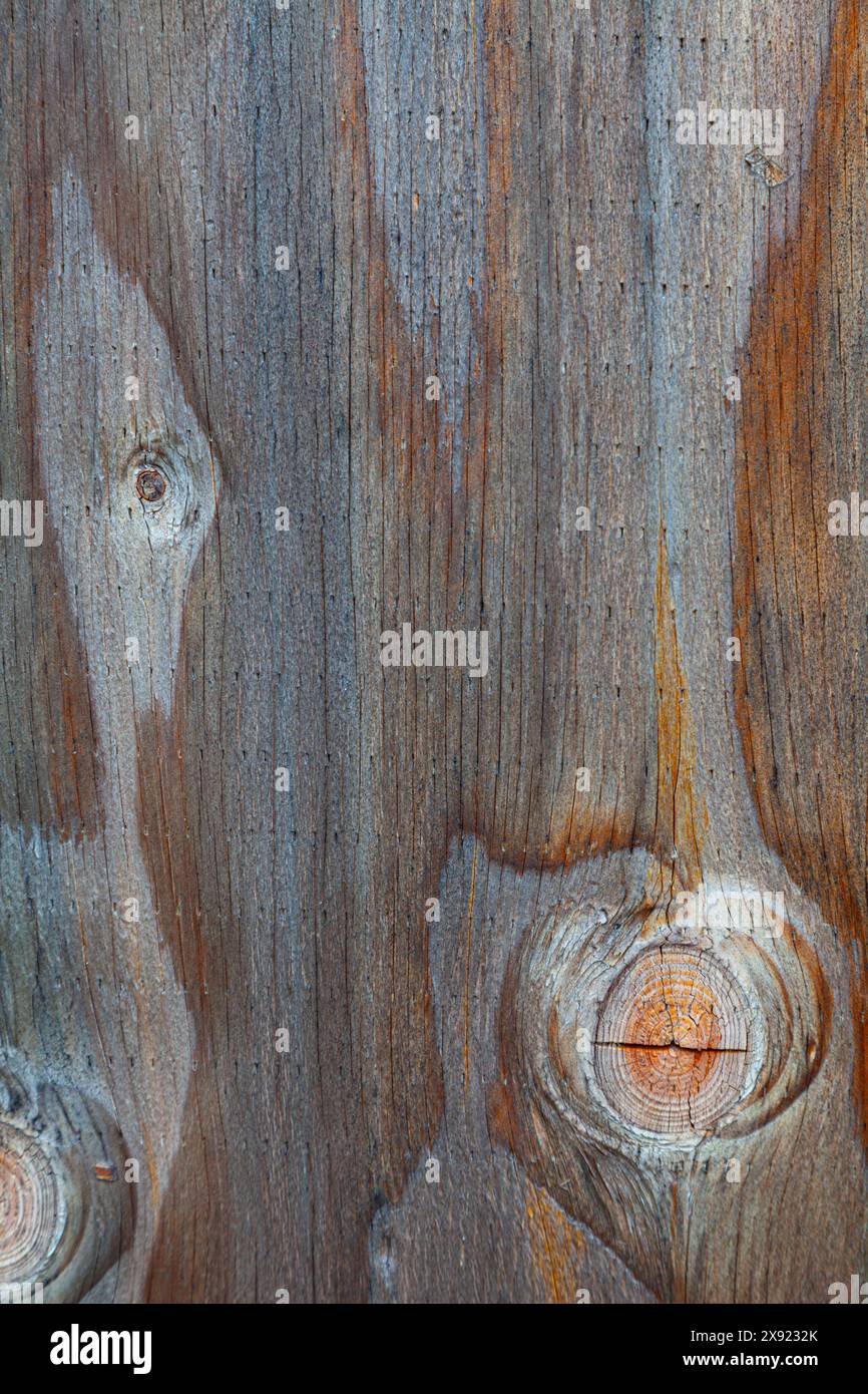Weathered exposed plywood with knots in Steveston British Columbia ...