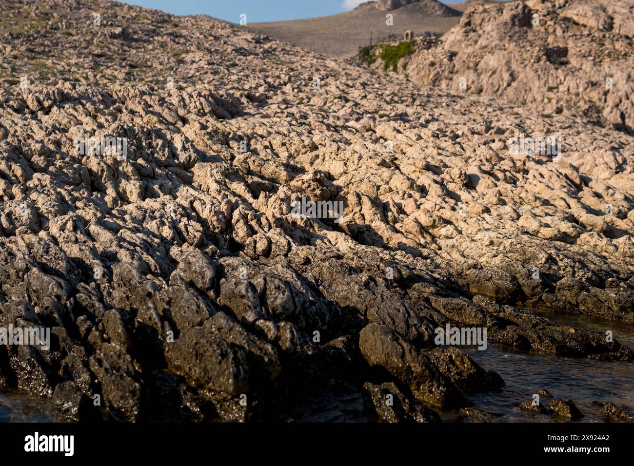Limestone pavemant on the island of Pag near Rucica Beach as an effect ...