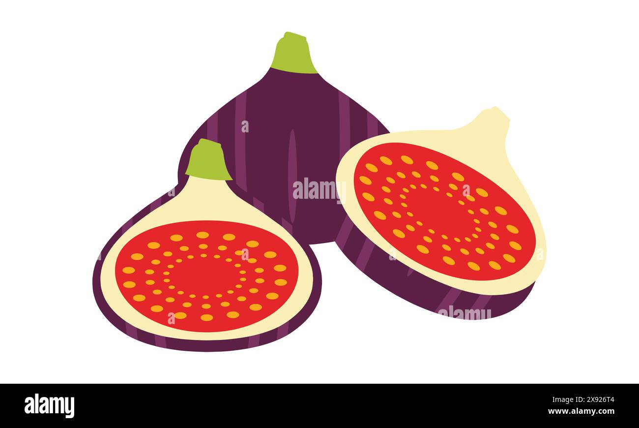 Fig leaf vector hi-res stock photography and images - Alamy